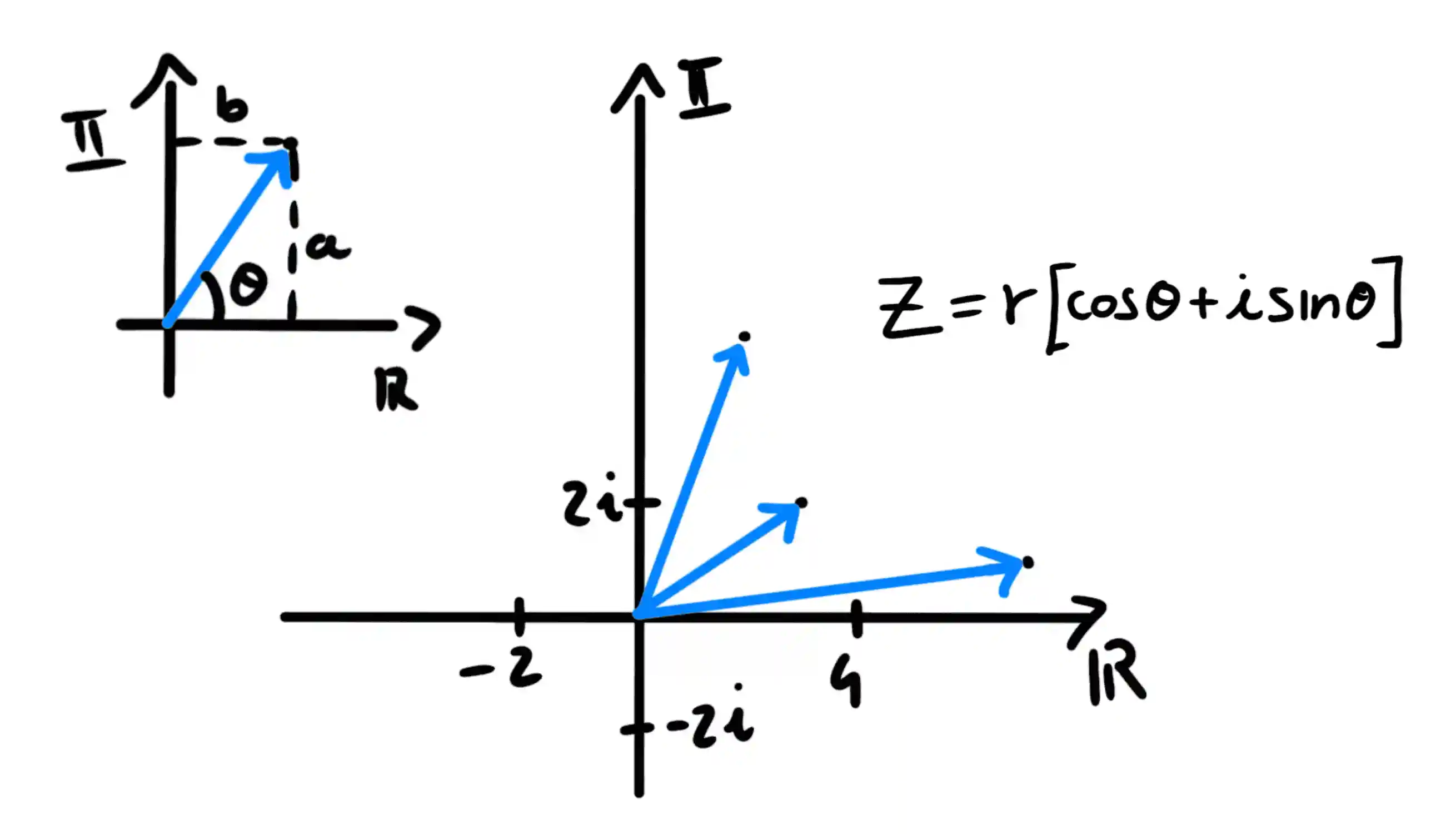 Numeri complessi in forma trigonometrica – Spiegazione, Formu… | Theoremz